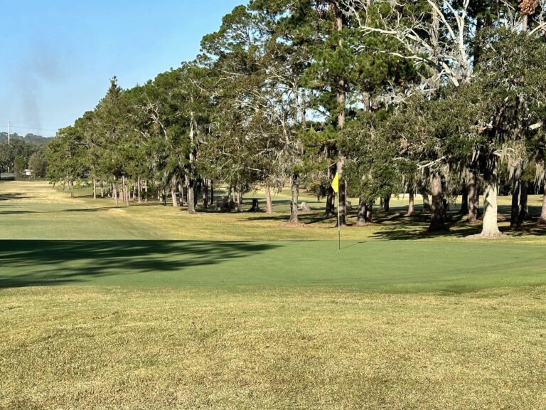 Activities and Attractions to Experience in Lake City, FL